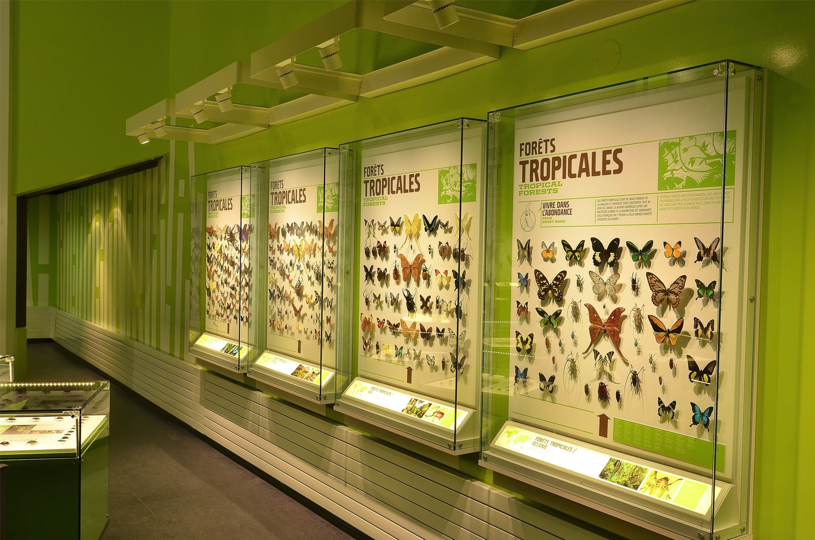 20+ Reasons Why You Need to Visit Quebec Now